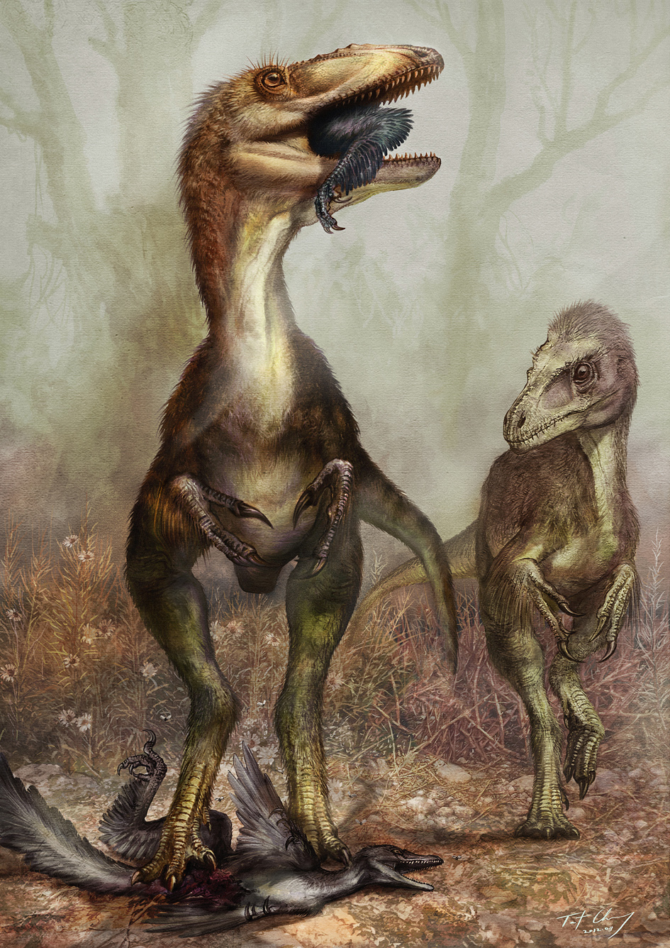 Sinocalliopteryx eet een Sinornithosaurus op. | Natuurwijzer