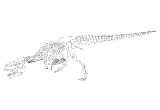 Het leven van T. rex Trix | Natuurwijzer